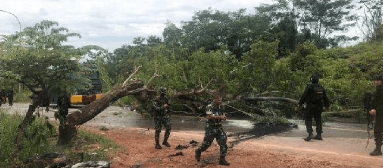 Rempang Island: Environmental, Social Issues, and Development Insights ...