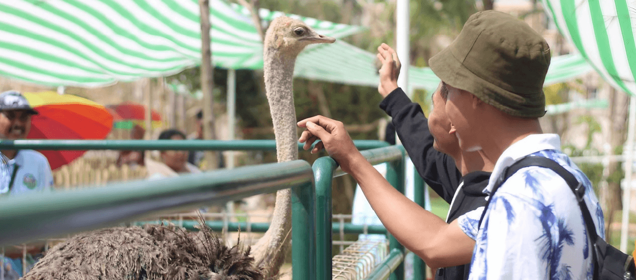 Weekend Fun at Batam Zoo Paradise: A Family Destination - Best Breaking ...