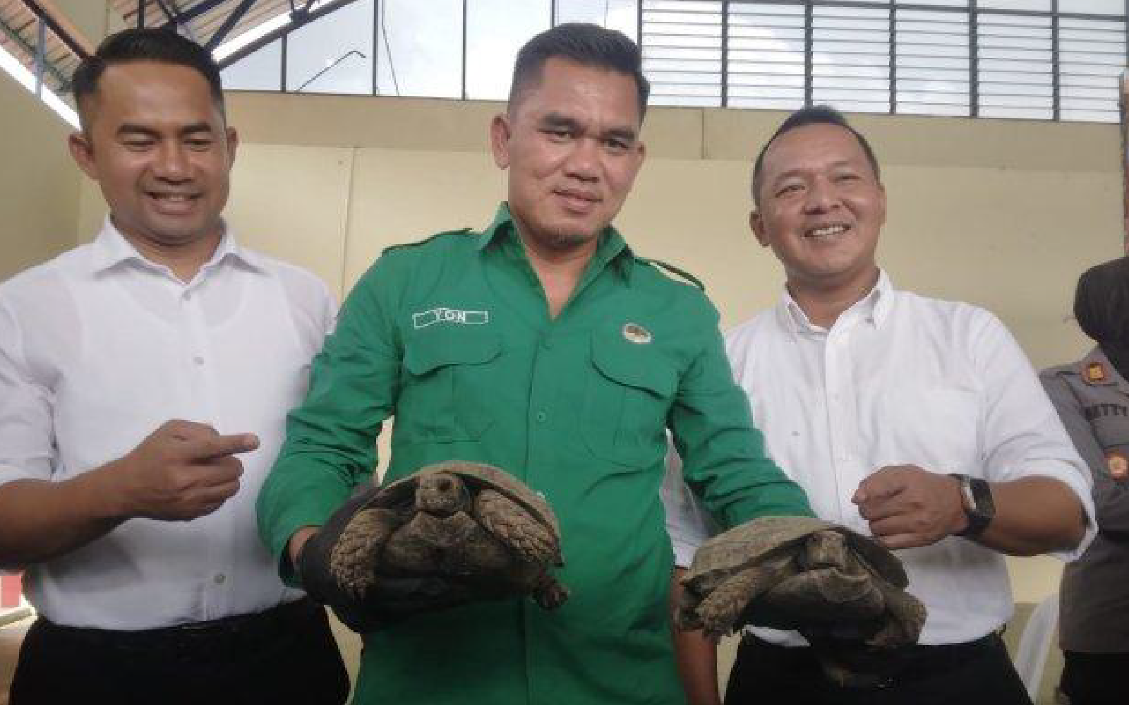 Two Arrested for Attempting to Smuggle Rare Turtles from Batam to ...