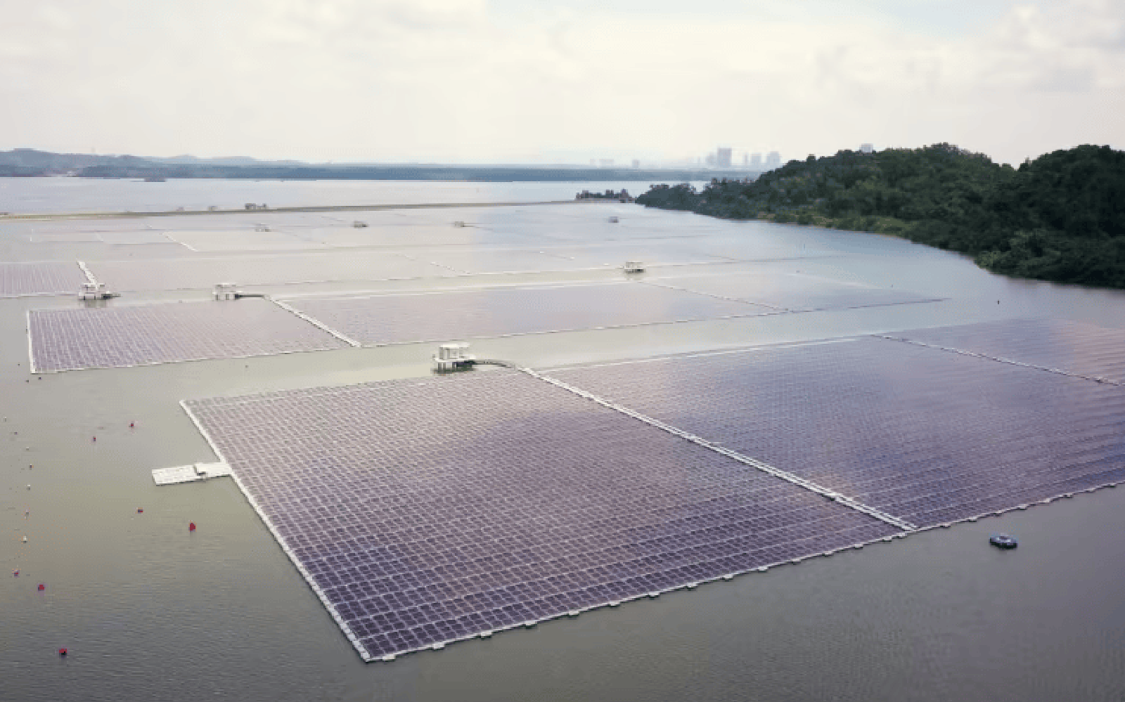 Floating Solar Farms: Singapore’s Pathway to a Clean Energy Future ...
