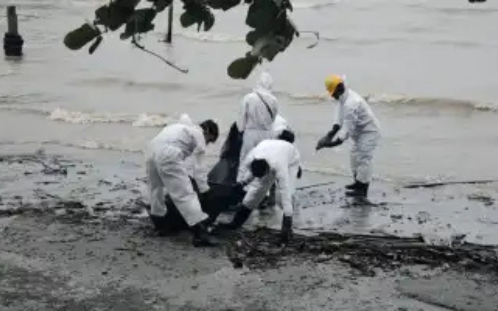 23 Tonnes of Oil Leaked Near Sentosa – Is Singapore Covering Up a ...