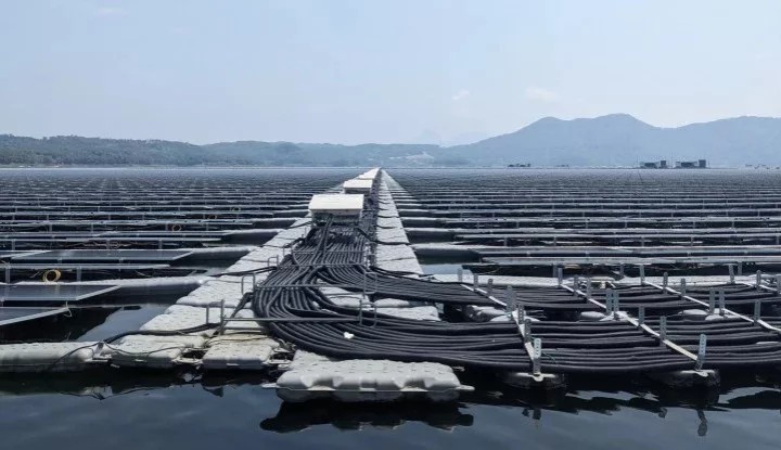 Floating Solar Power in Batam : TBS Secures $23 Million for Renewable ...