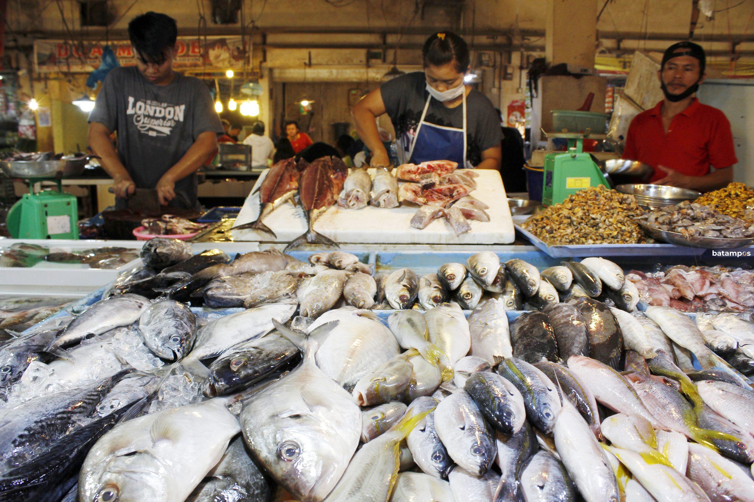 Batam’s Marine Surge: Fish Exports to Singapore Reach Rp69.76 Billion ...